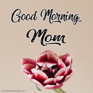 Best 40+ Good Morning Messages and Cards for Mom