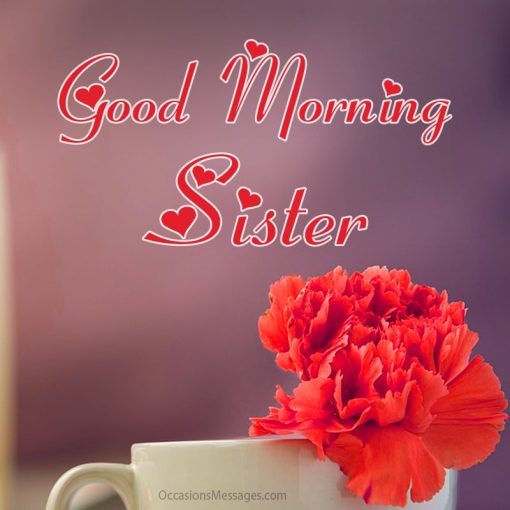 Best 40+ Lovely Good Morning Messages for Sister