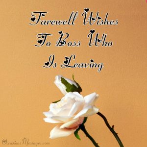 Best 35+ Farewell Wishes to Boss Who is Leaving