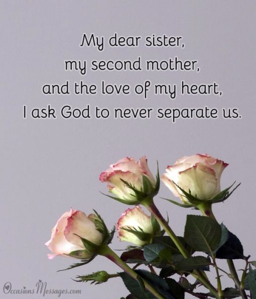 Top 25+ Heartwarming Love Messages for Sister