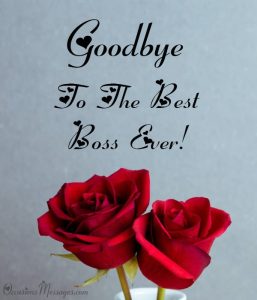 Best 35+ Farewell Wishes to Boss Who is Leaving