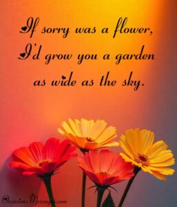 Best 40+ Romantic Sorry Messages to My Love